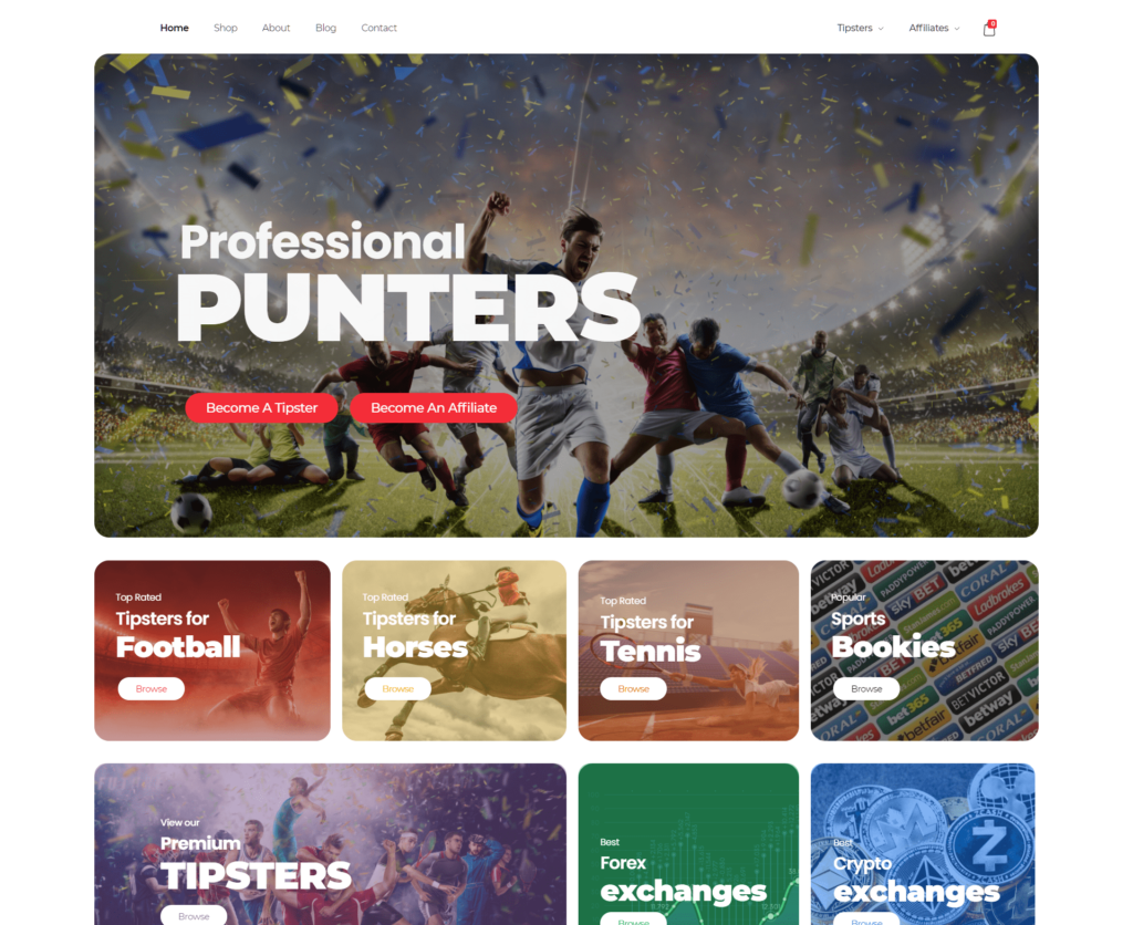 Pro Punters - Pagecode